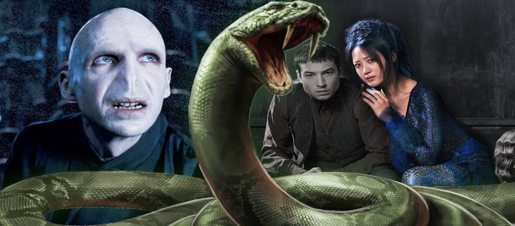 Here’s Everything You Need To Know About The Nagini Controversy ...